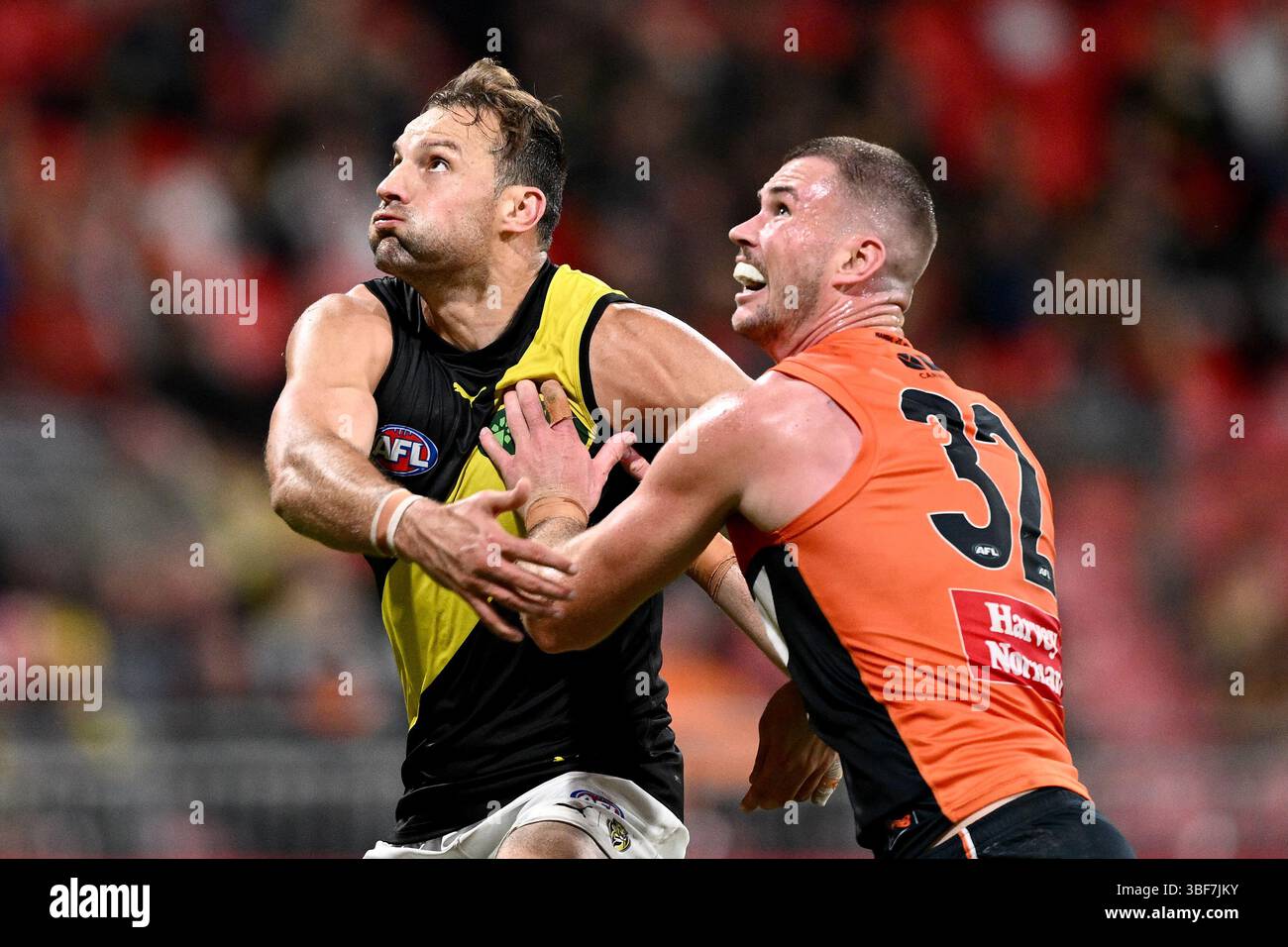 Sydney, Australia. 31st May, 2025. Toby Nankervis of the Tigers and ...