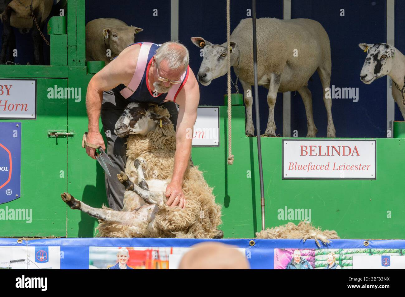 Shepton Mallet, Somerset, UK. 30th May 2025. A demonstration of ...