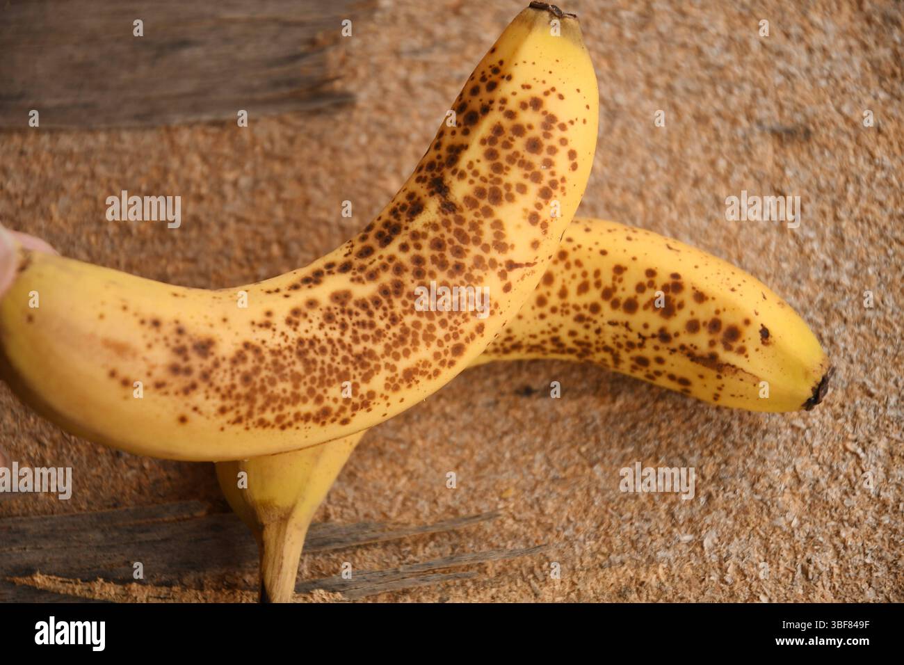 Kastrup/Copenhagen/ Denmark/31 may 2025/. Banans rtui in kastrup Photo.Francis Joseph Dean/Dean ...