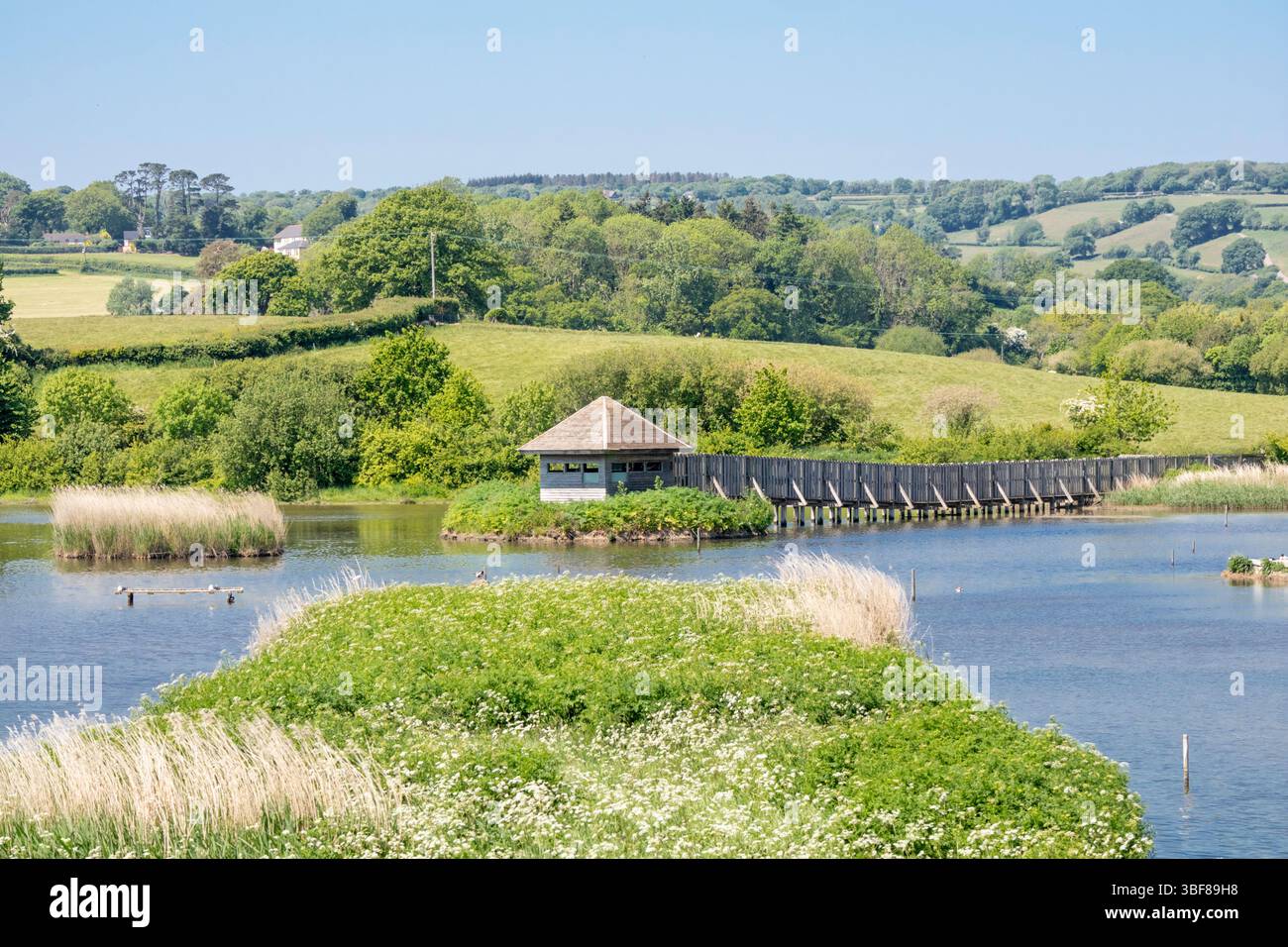 Seaton marshes nature reserve hi-res stock photography and images - Alamy