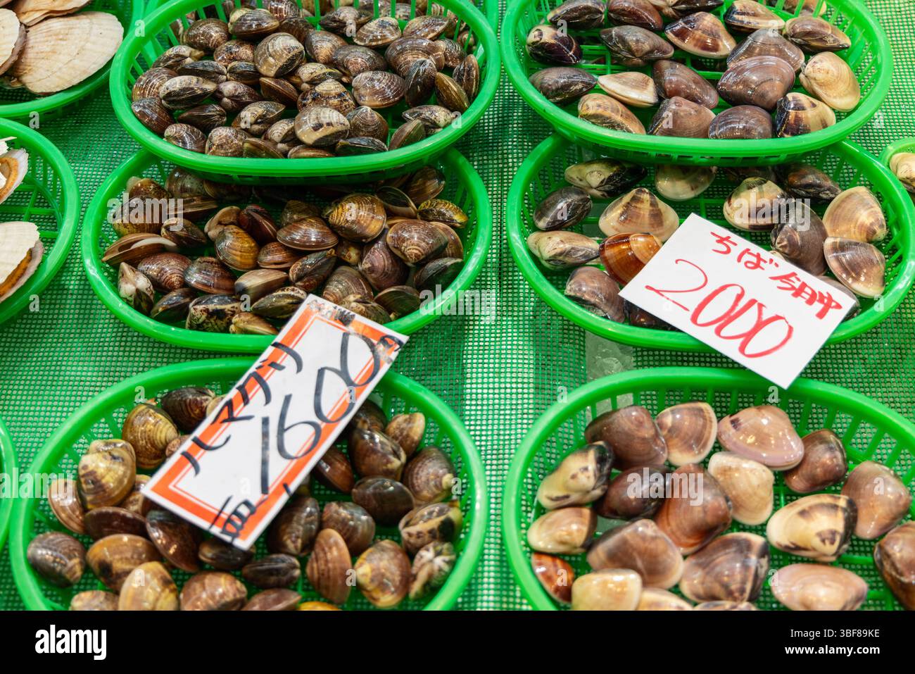 Various types of clams displayed in green plastic trays at a Japanese ...