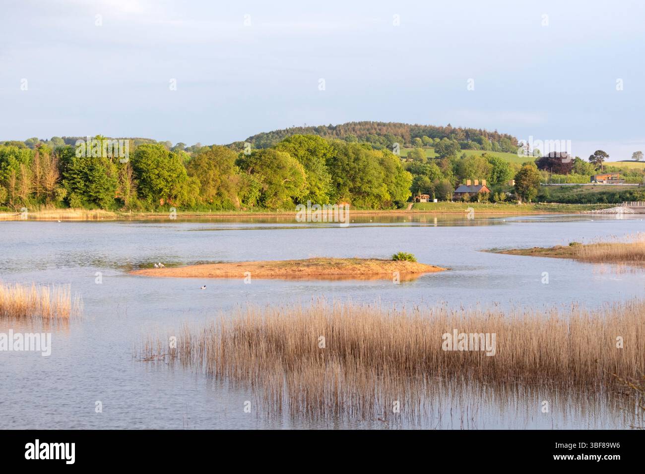The Otter Estuary National Nature Reserve, Budleigh Salterton, Devon ...