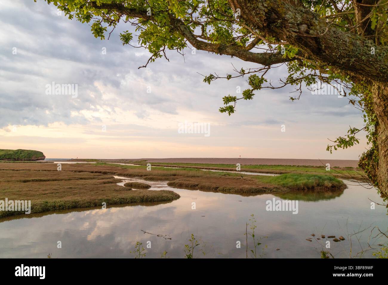 The Otter Estuary National Nature Reserve, Budleigh Salterton, Devon ...