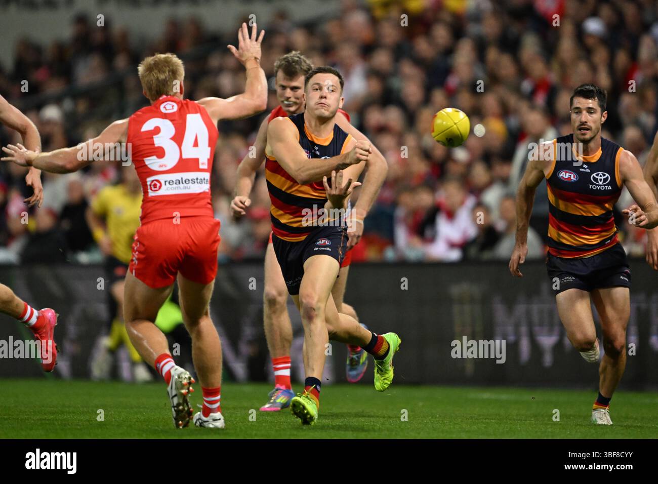 Sydney, Australia. 31st May, 2025. Jake Soligo of the Crows during the ...