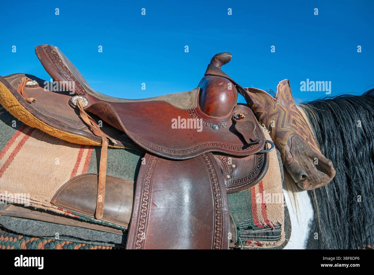Western saddle in the Monument Valley Navajo Tribal Park, Arizona, USA ...