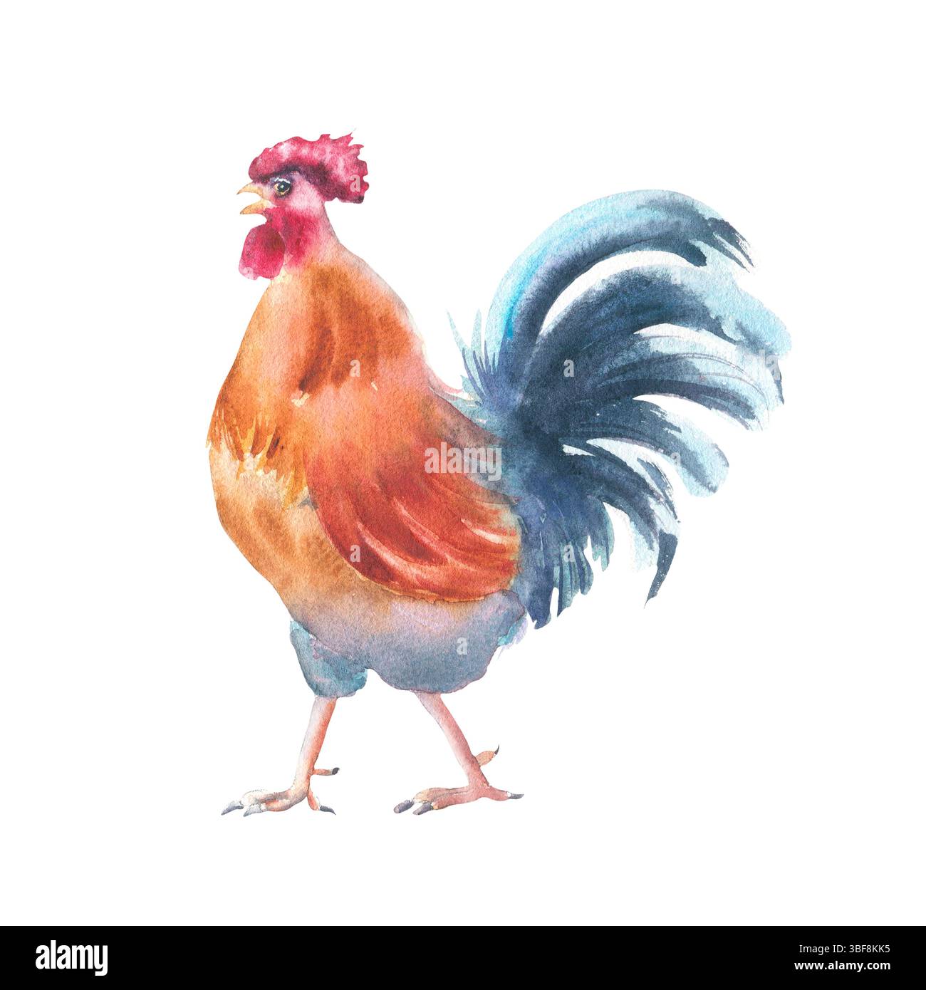 Orange in the tail Cut Out Stock Images & Pictures - Alamy