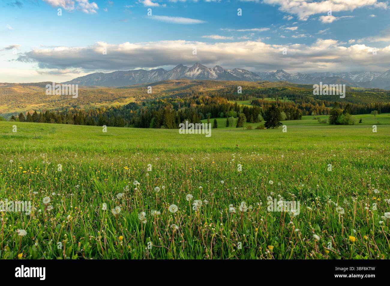 Beautiful spring landscape of Tatra mountains Stock Photo - Alamy