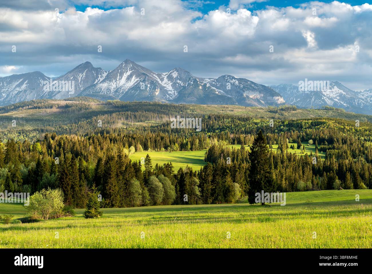 Beautiful spring landscape of Tatra mountains Stock Photo - Alamy