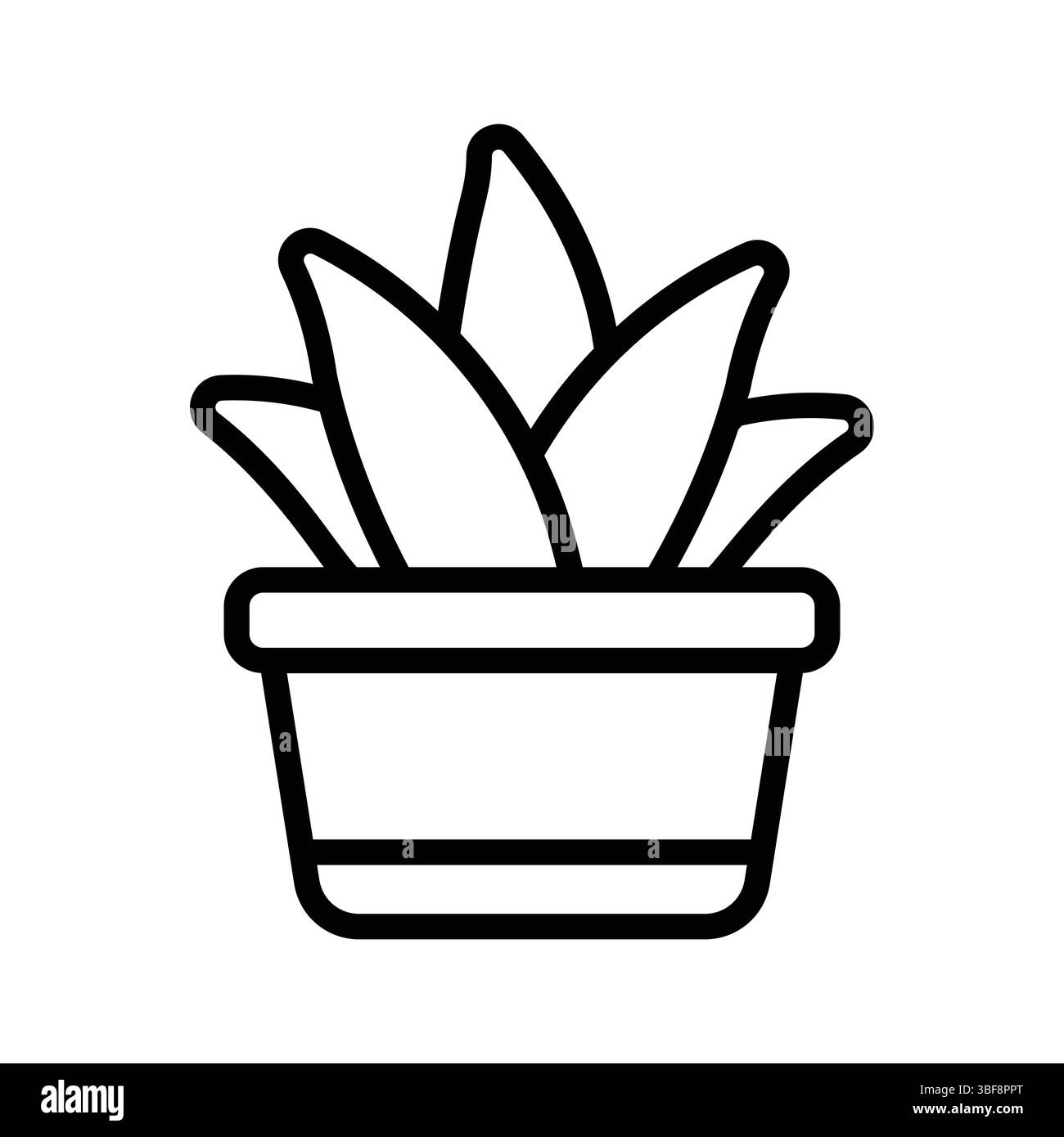 Aloe vera, known for its medicinal and soothing properties Stock Vector ...