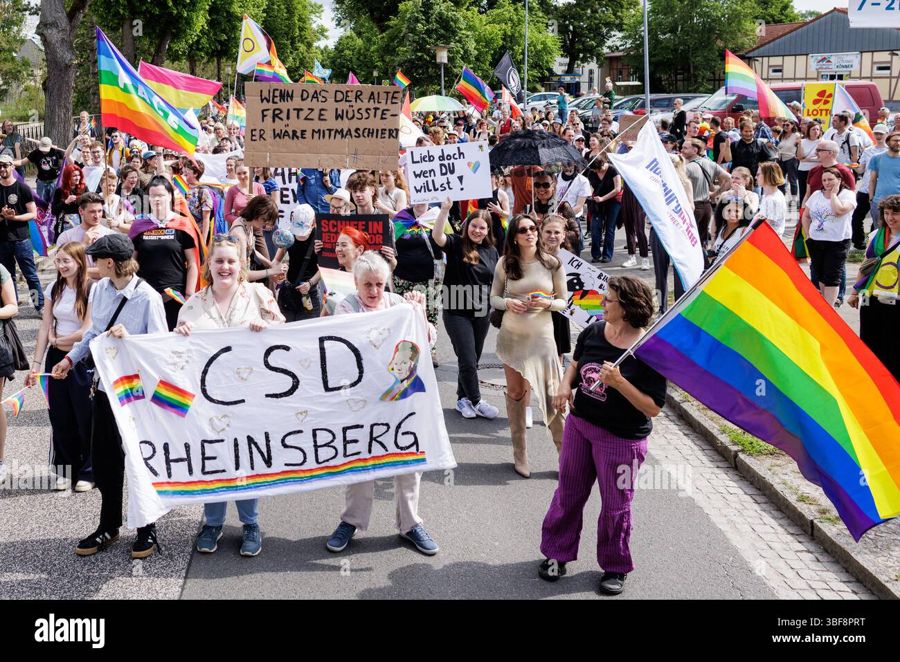 Rheinsberg, Germany. 31st May, 2025. Numerous participants parade ...