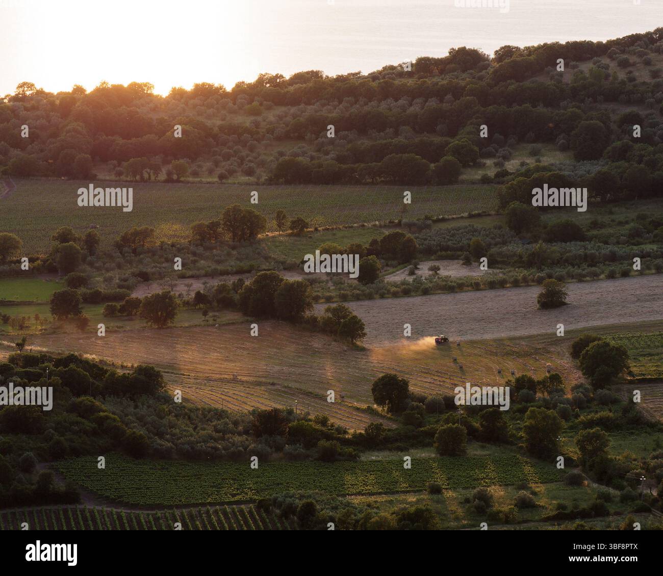 Bolsena farm hi-res stock photography and images - Alamy