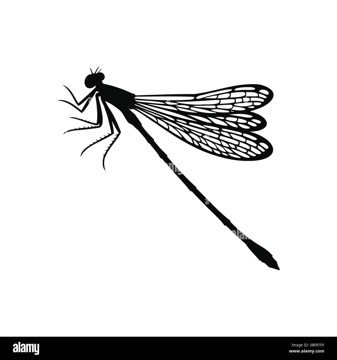 Zygoptera dragonfly Stock Vector Images - Alamy