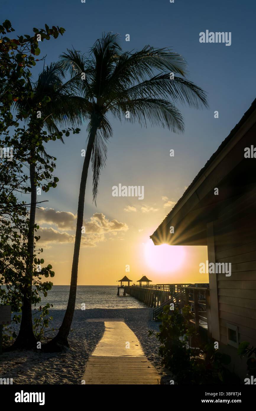 Palm trees and the famous pier at sunset on the beach of Naples ...