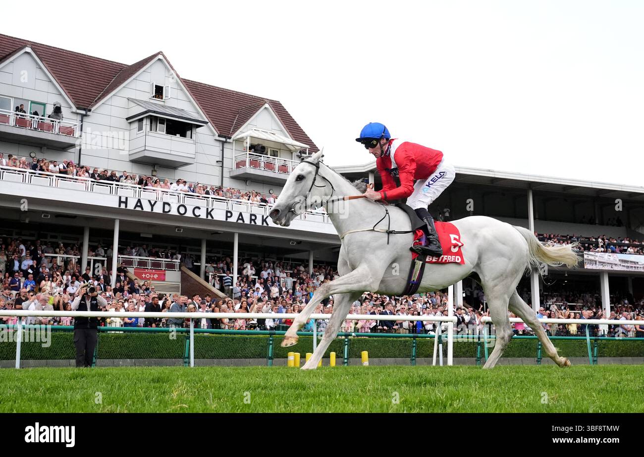 Estrange horse hi-res stock photography and images - Alamy