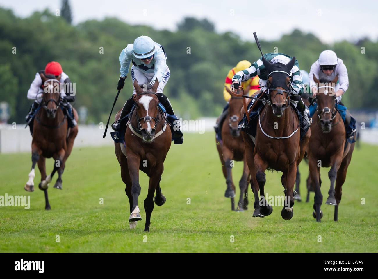 Horse racing york 31st may 2025 david hi-res stock photography and ...