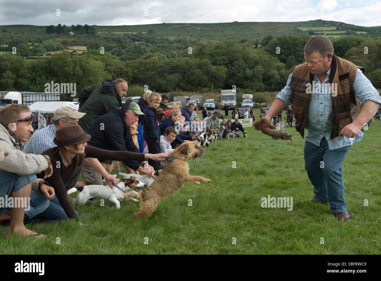Dog chase rabbit hi-res stock photography and images - Alamy