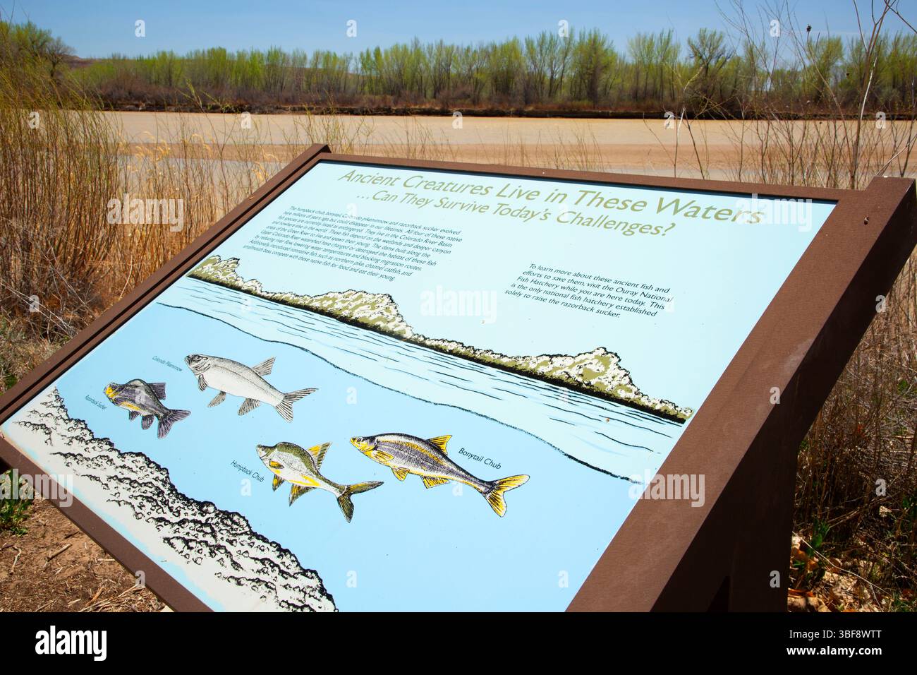 Interpretive board along Green River, Ouray National Wildlife Refuge ...