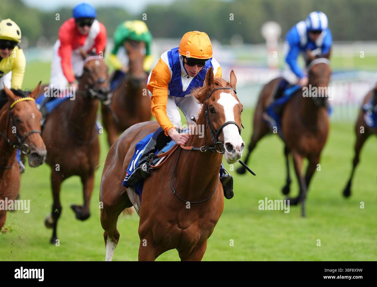 Ten Bob Tony ridden by William Buick coming home to win the Betfred ...
