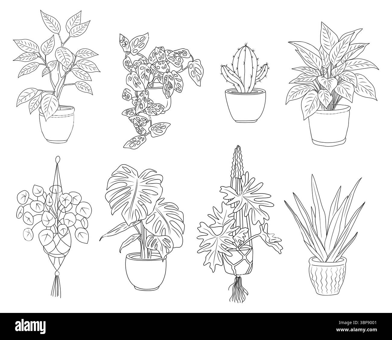 Set of House plants outline drawings isolated Stock Vector Image & Art ...