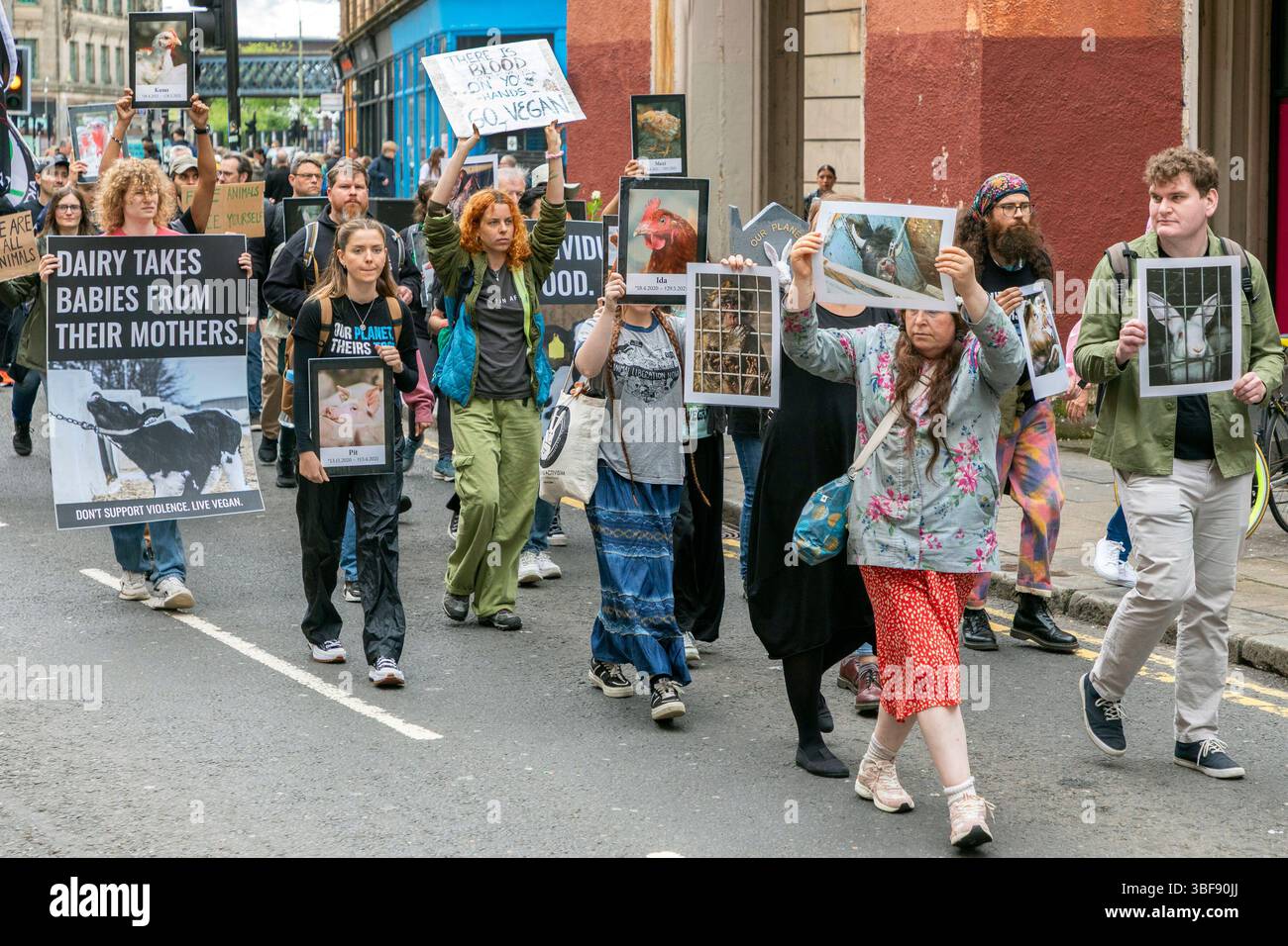 Glasgow, UK. 31st May, 2025. Supporters of the Animal Liberation ...