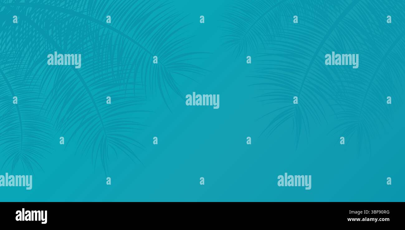 Rainforest palm trees in Stock Vector Images - Alamy