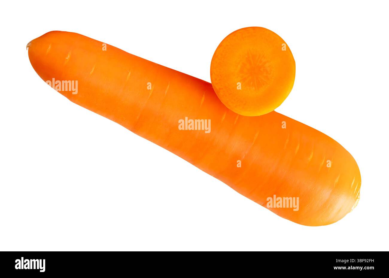 Side view of one fresh orange carrot root with slice in circle in stack ...