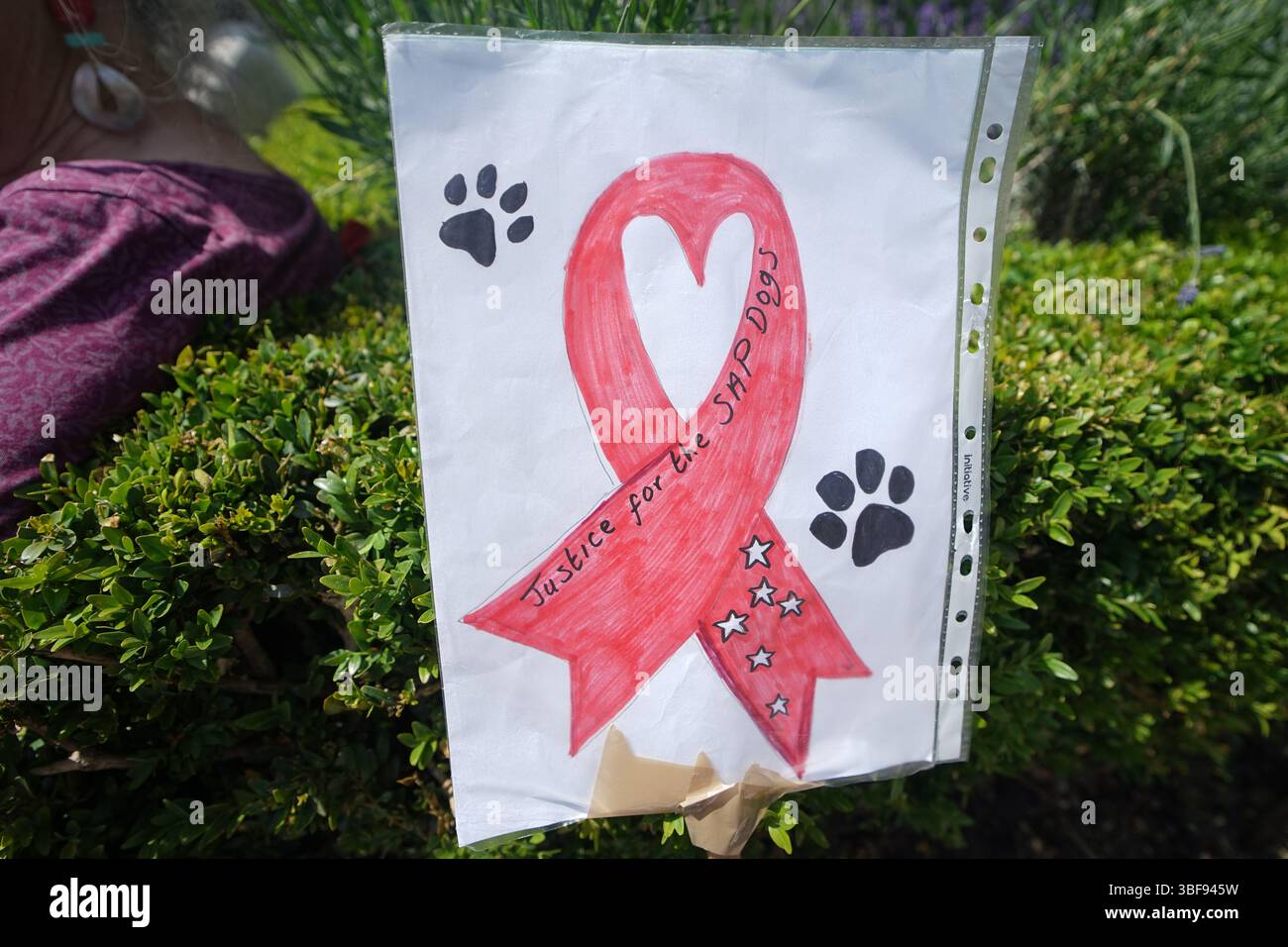 LONDON, ENGLAND, 31 May 2025: London protest against Ovaeed Rahman, 25 ...