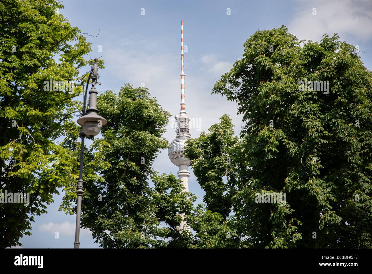 The Berlin TV Tower (Fernsehturm) rises behind a canopy of trees near ...