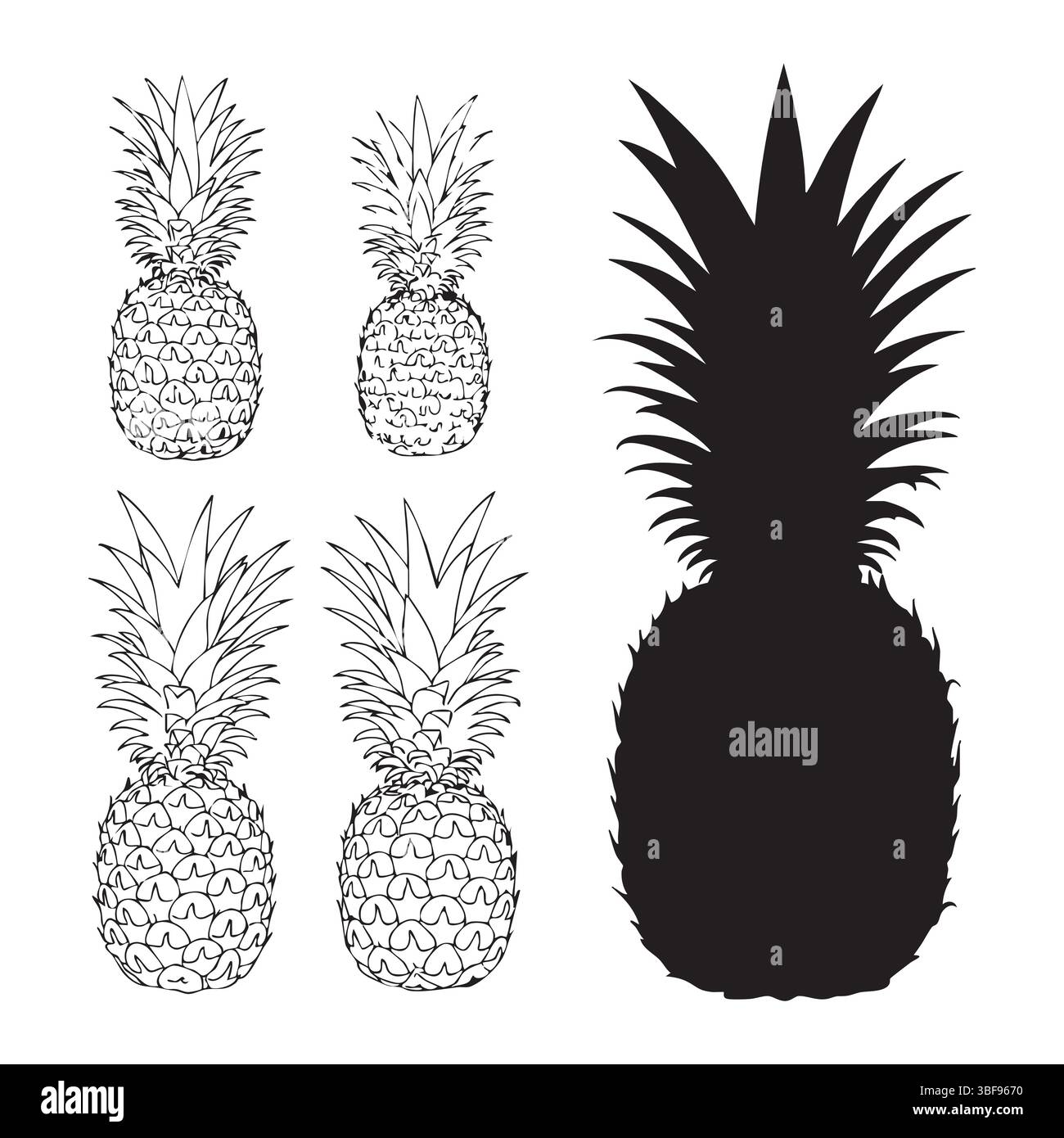 Silhouette set of pineapple on white background Stock Vector Image ...