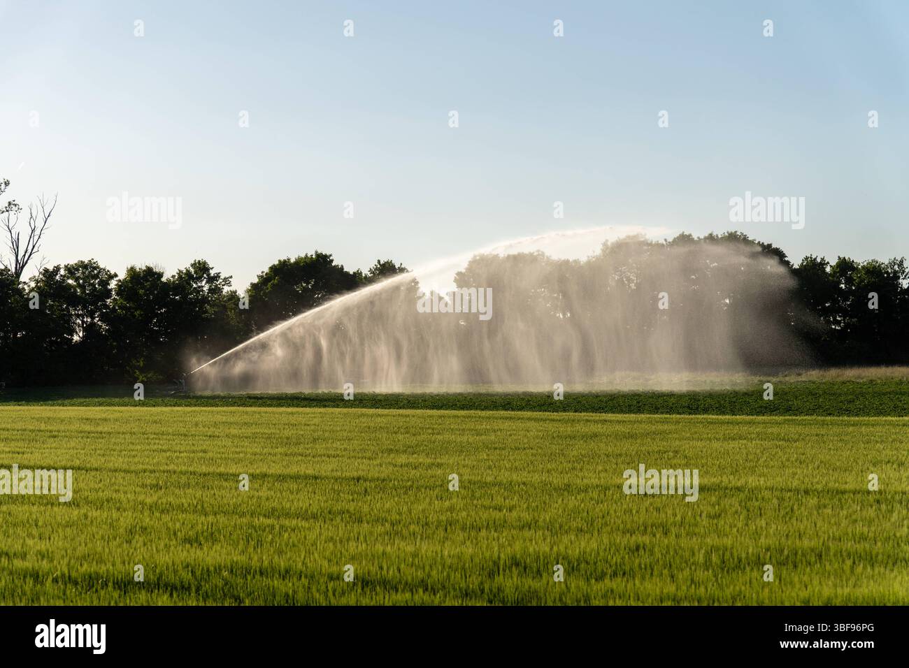 Oberding, Bavaria, Germany - 30 May 2025: A mobile sprinkler irrigates ...