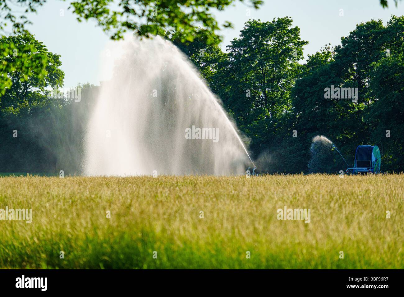 Oberding, Bavaria, Germany - 30 May 2025: A mobile sprinkler irrigates ...