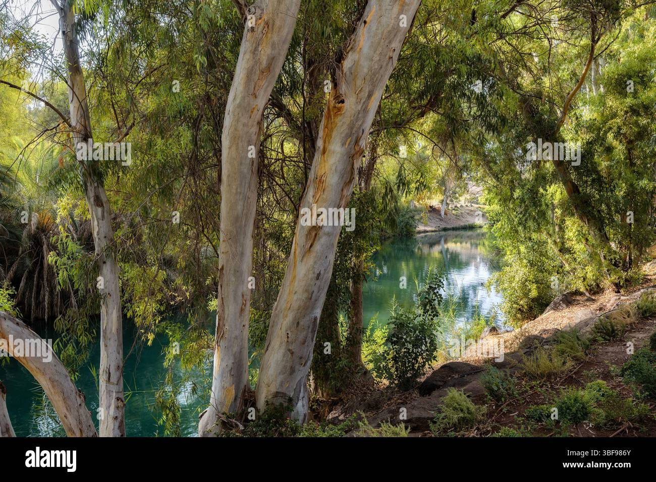 The Jordan River, Deganya Alef, Northern District, Israel. Degania Alef ...