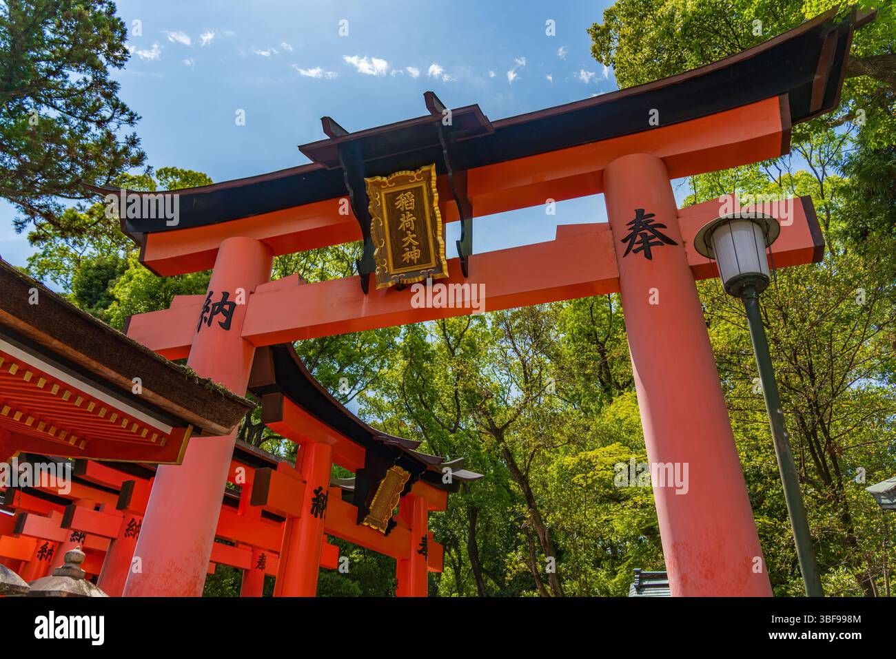 Senbon Torii at Fushimi Inari Taisha, a shrine in Kyoto, Japan Stock ...