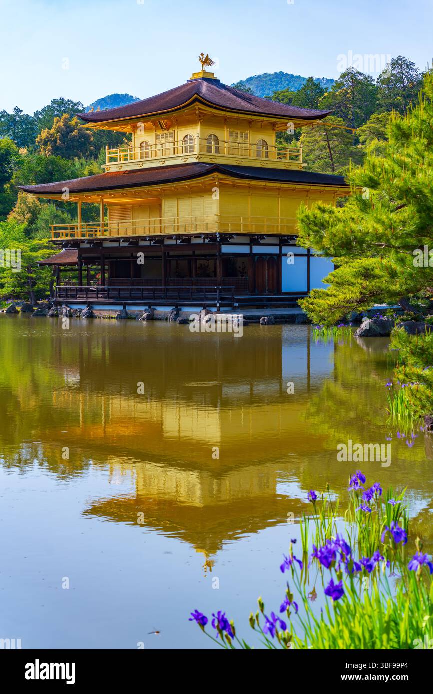 View kinkakuji famous golden hi-res stock photography and images - Alamy