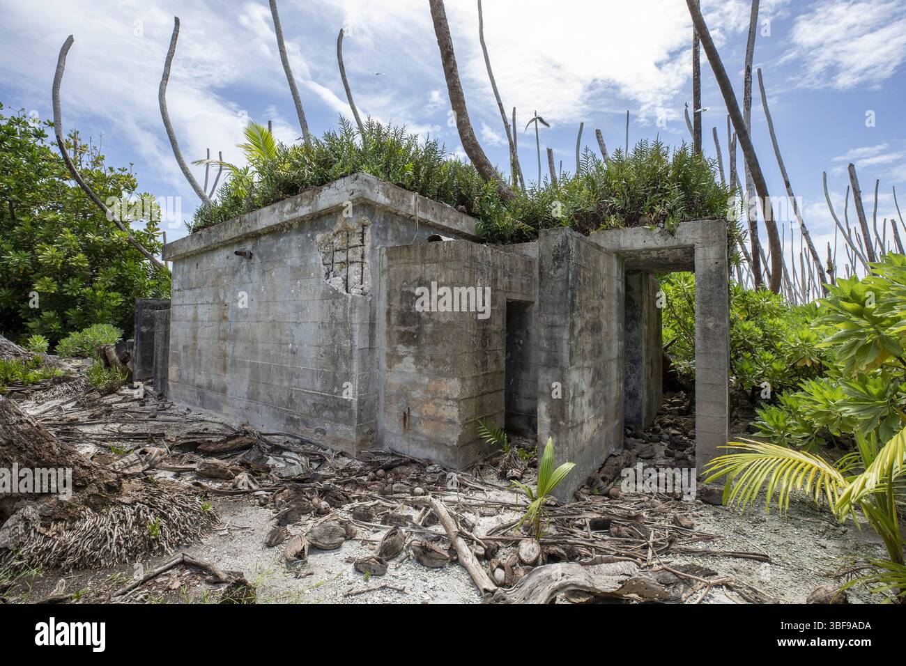 Historical bunker on Palmyra Atoll National Wildlife Refuge, Hawaii R ...