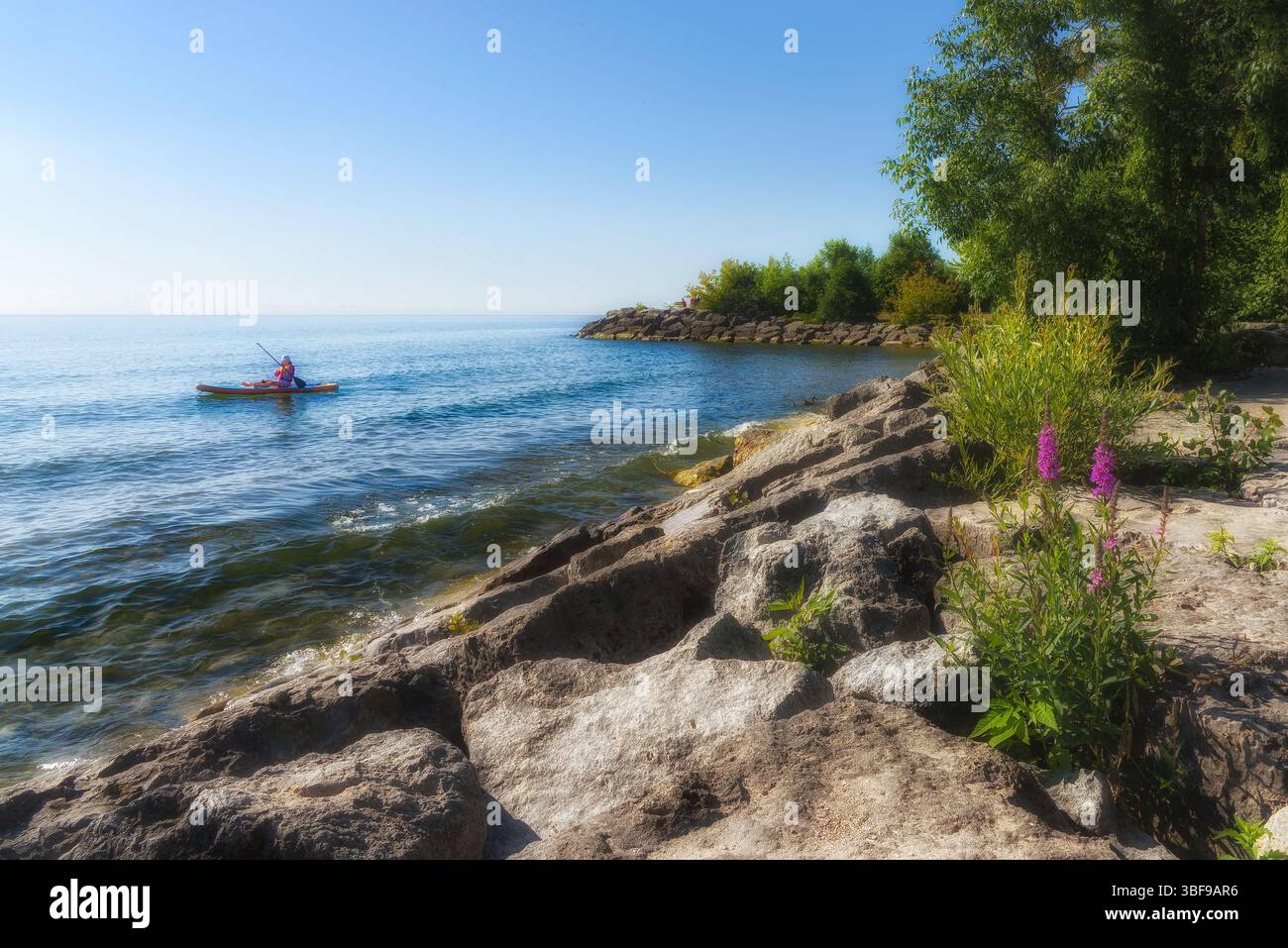 Jack darling park hi-res stock photography and images - Alamy