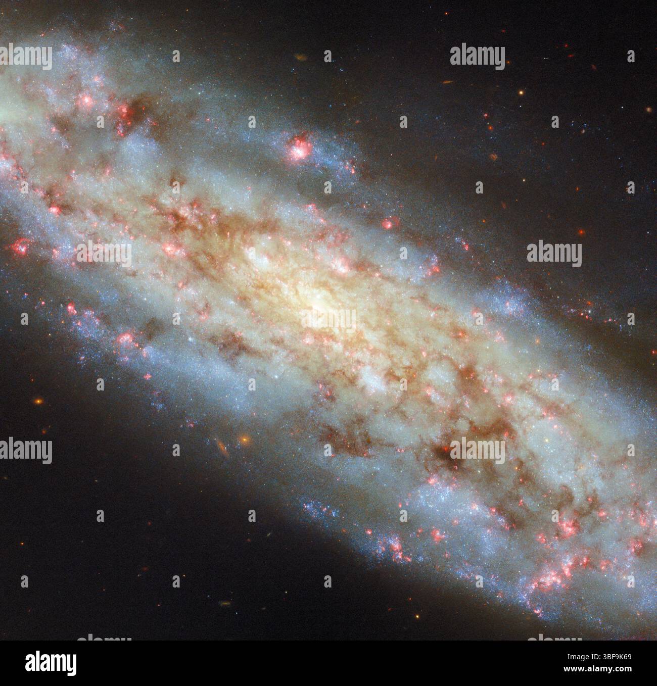 This optimised Hubble image shows the spiral galaxy NGC 3511, 43 ...