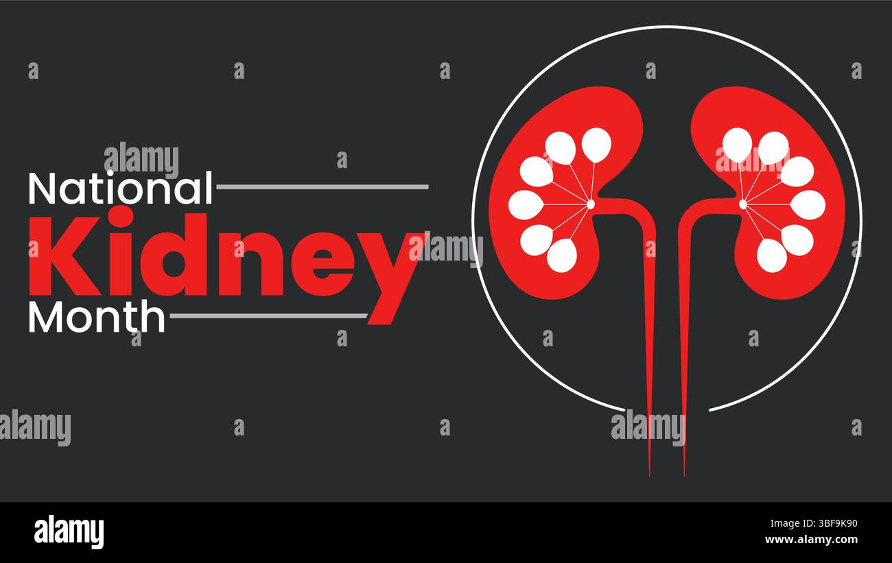 Protect Your Kidneys, Protect Your Health, national kidney month Stock ...