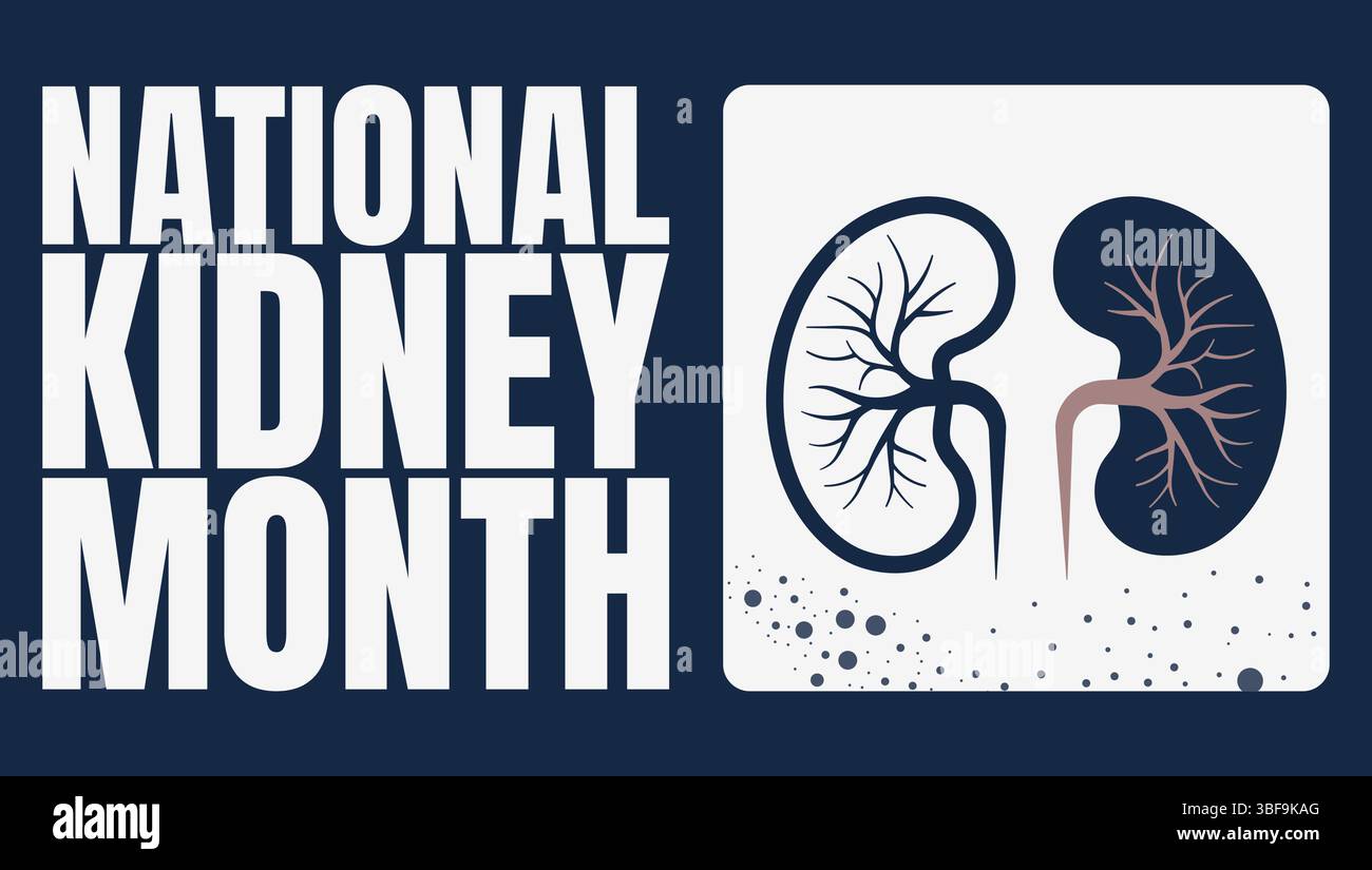 Protect Your Kidneys, Protect Your Health, national kidney month Stock ...