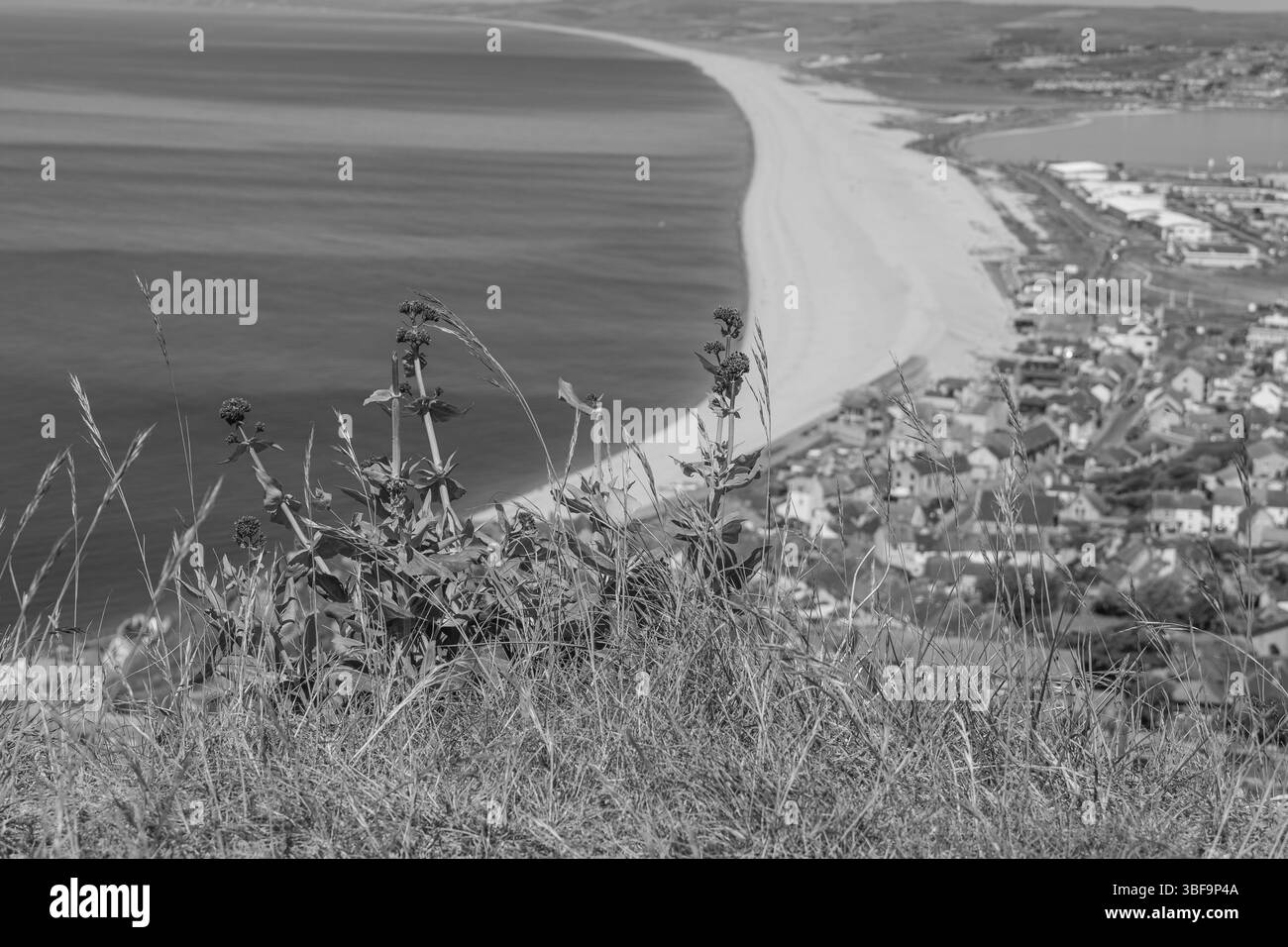 isle of portland at the jurassic coast Stock Photo - Alamy