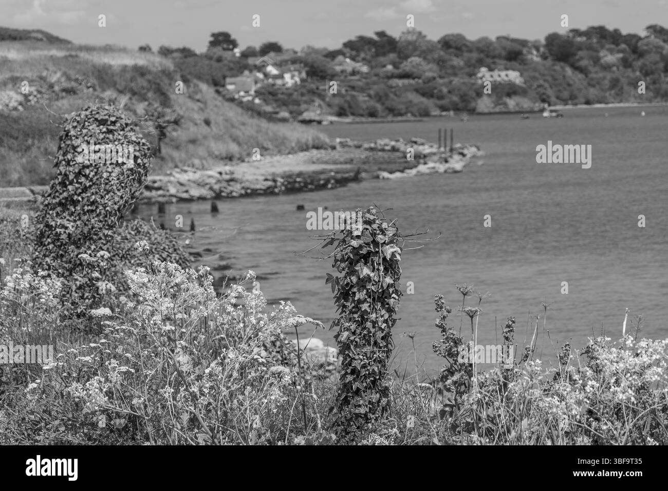 isle of portland at the jurassic coast Stock Photo - Alamy