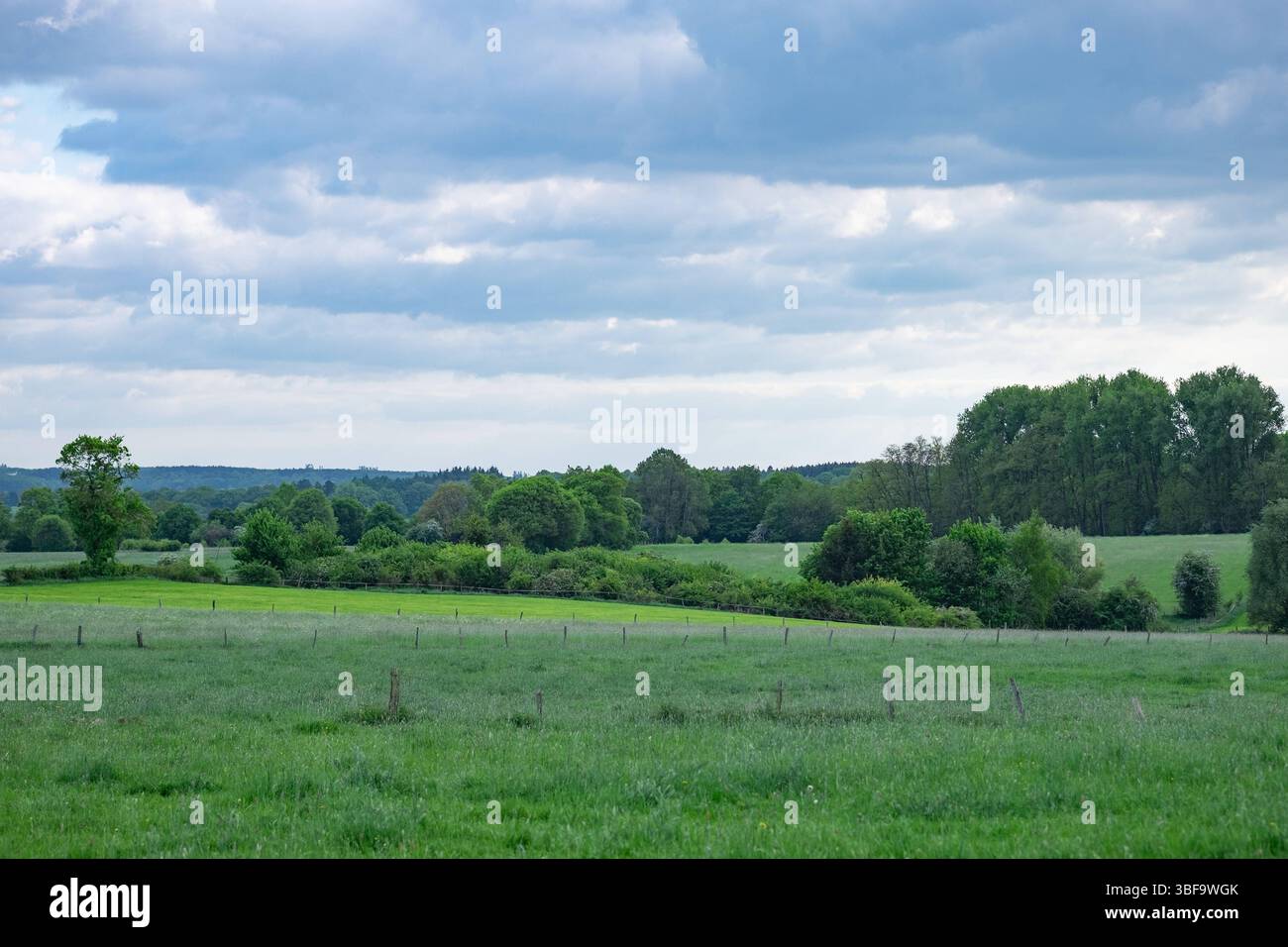Weideland nahe Aachen am 5. Mai 2025. GERMANY - AACHEN - FARM Stock ...