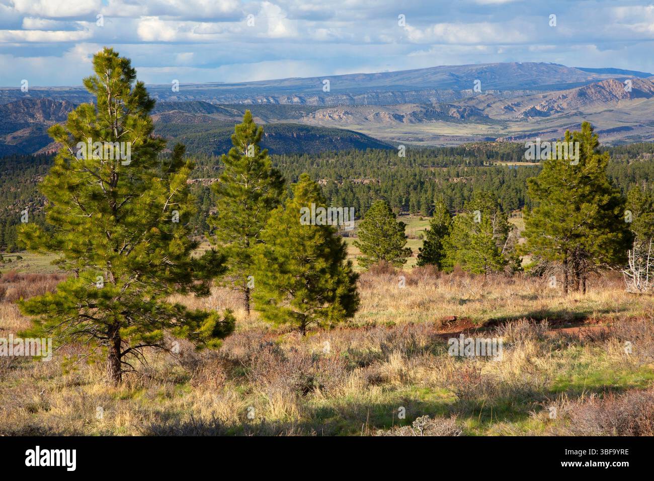 View from Greendale Overlook Interpretive Site, Flaming Gorge National ...