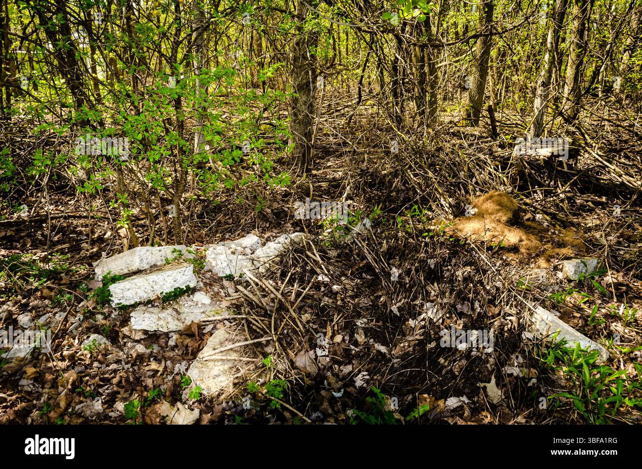 Construction concrete waste dumped in a wooded area and becoming ...