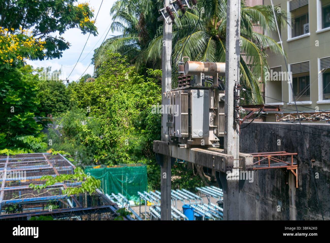 A power transformer mounted on a pole surrounded by lush greenery in an ...