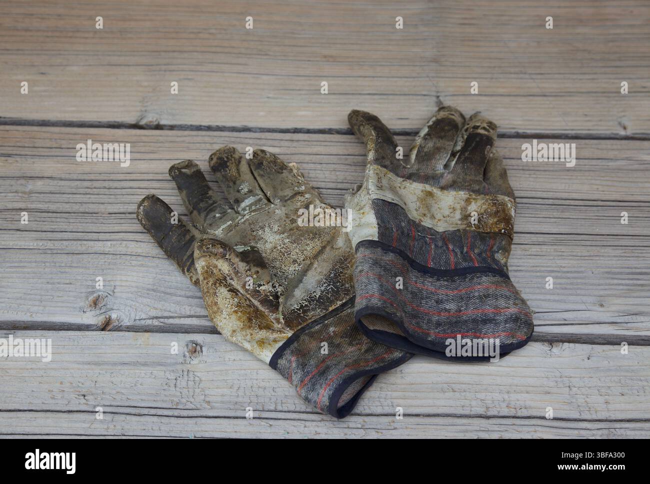 Old, broken and torn work gloves lie on a weathered gray wooden table ...