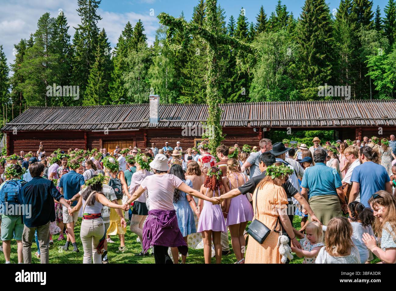 Gathering in Gammlia, Umea, Sweden, people celebrate midsummer with traditional dancing around a ...