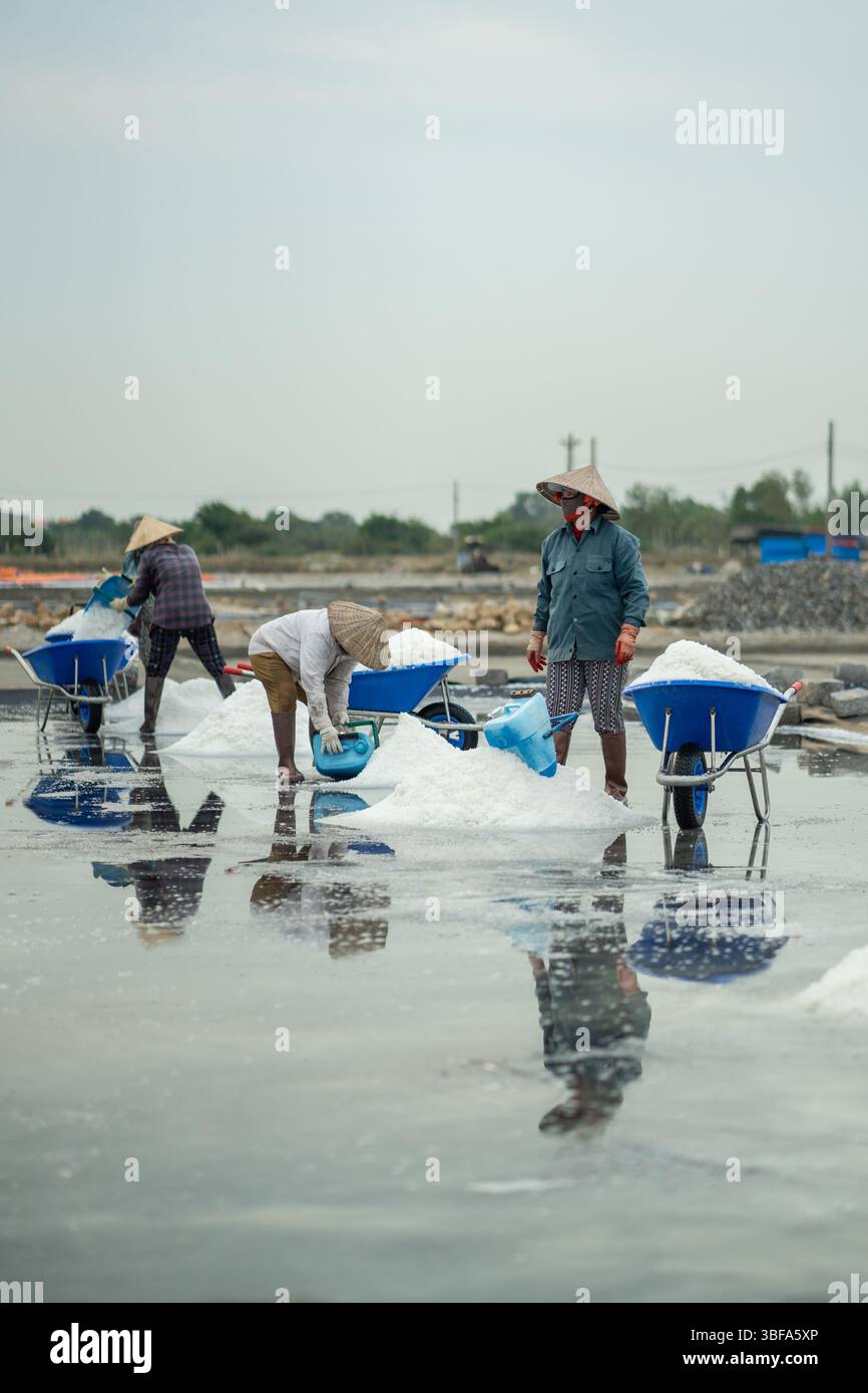 Workers use buckets to load salt into carts at Hon Knoi village ...