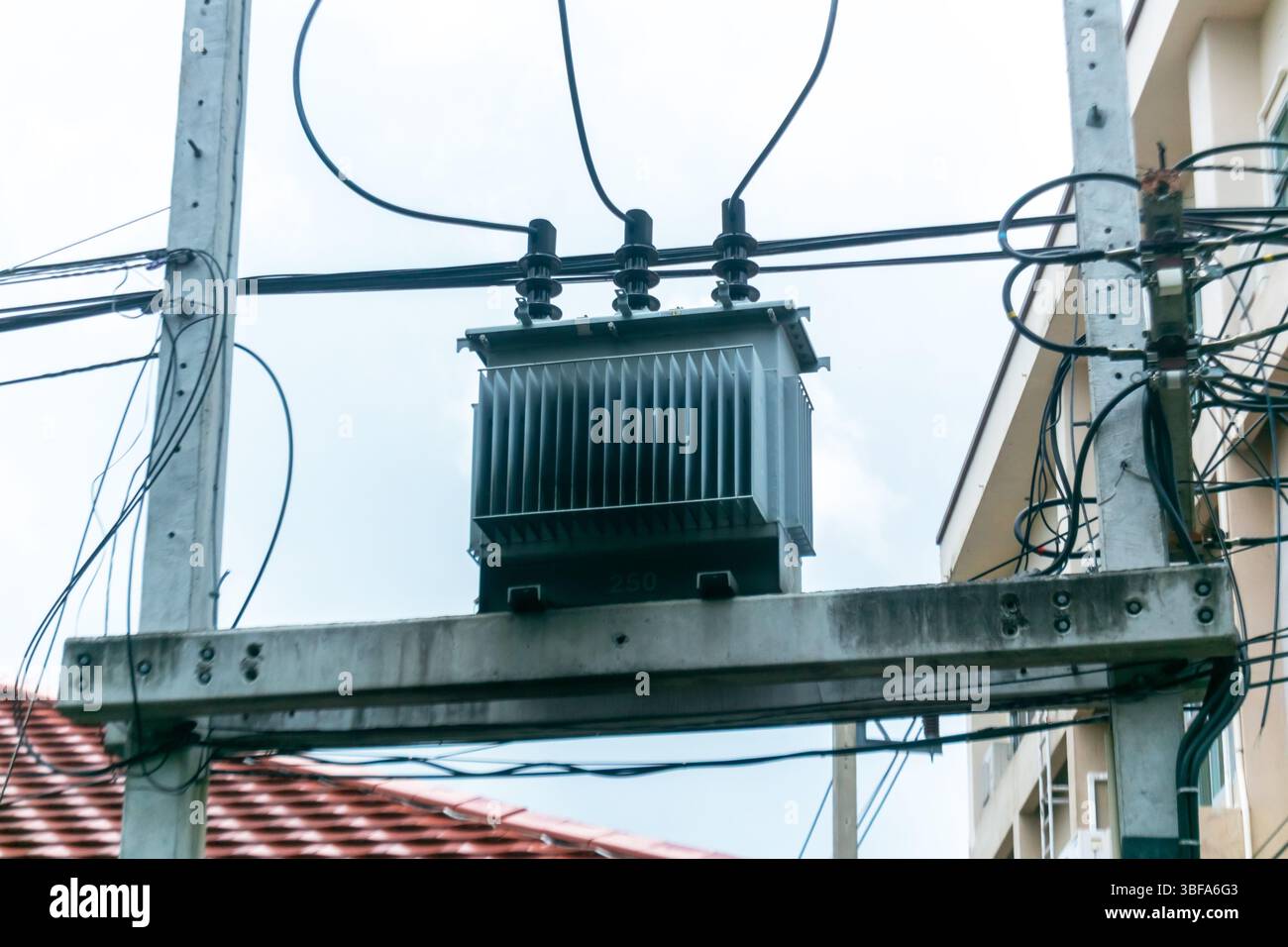 An electric transformer mounted on a utility pole, surrounded by tangled wires, showcases the ...
