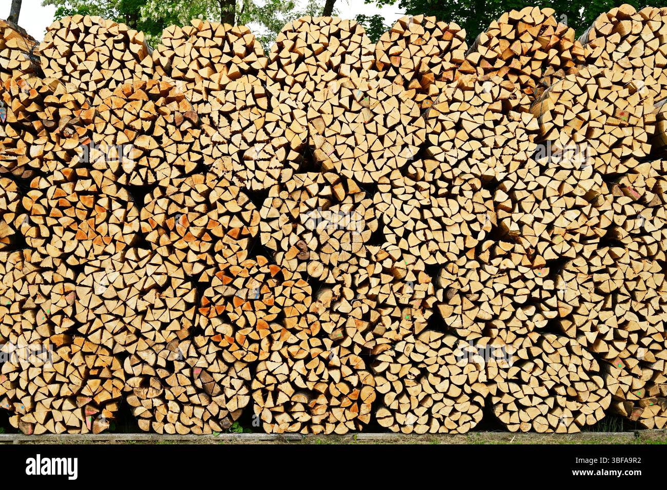 Stacked firewood, firewood pile Stock Photo - Alamy
